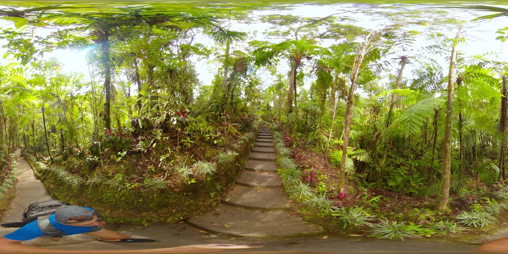 Rainforest in the Philippines. 360-Degree view. 360º Video | 360Cities