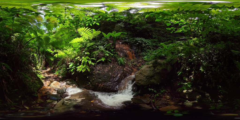 Tropical stream with waterfall surrounded by green ferns. Dauin, Negros ...